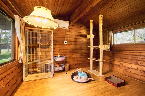 Cat Cottage , Accommodation in Karuizawa Prince Hotel West - Official ...
