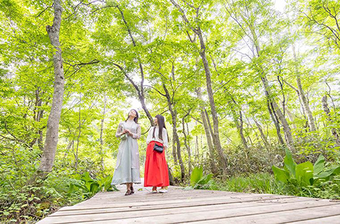 [2 Nights Deal] Prince Basic Standard Long Stay Plan (Room only) - Special Offer & Promotion ...