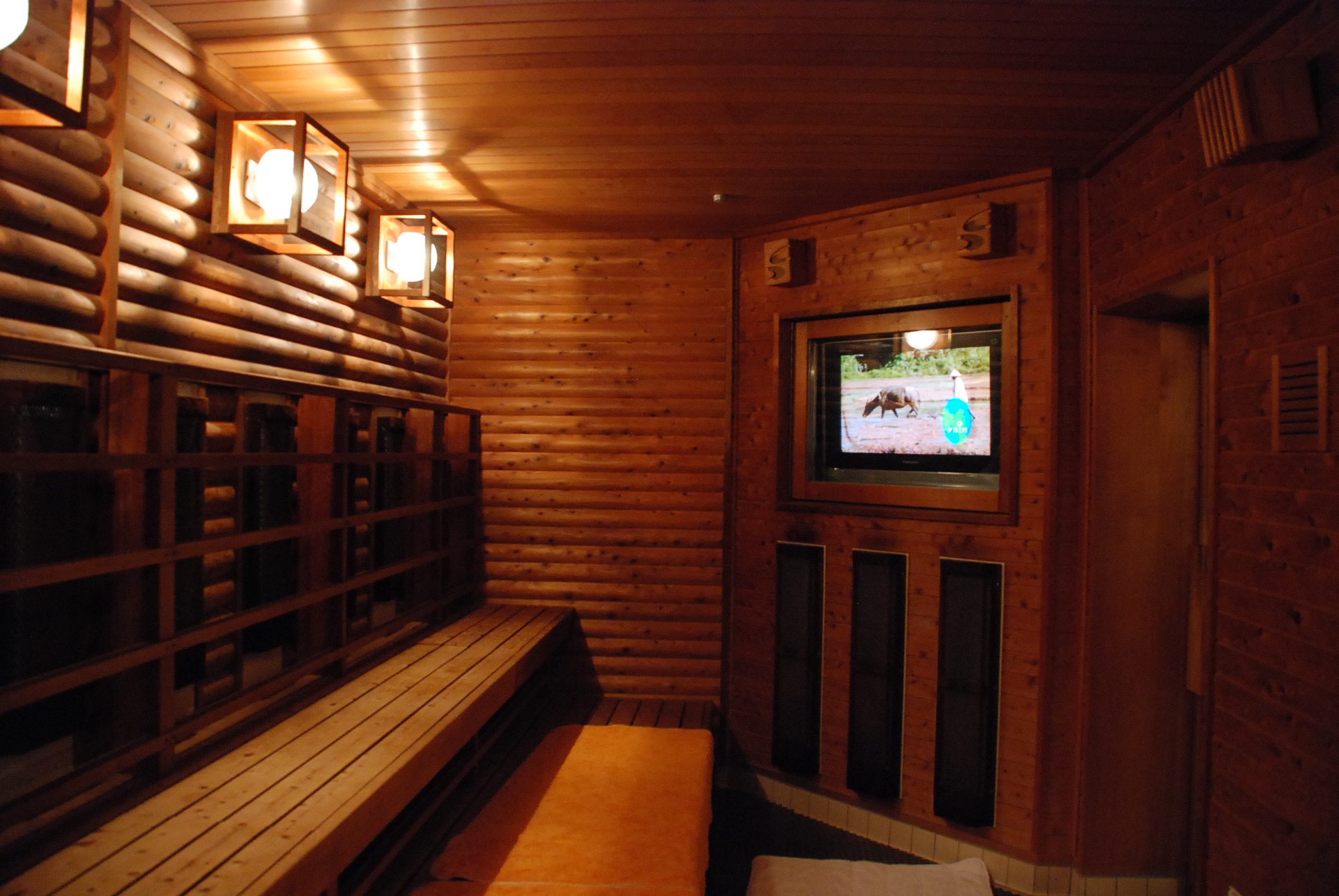 Natural hot spring - The Prince Park Tower Tokyo