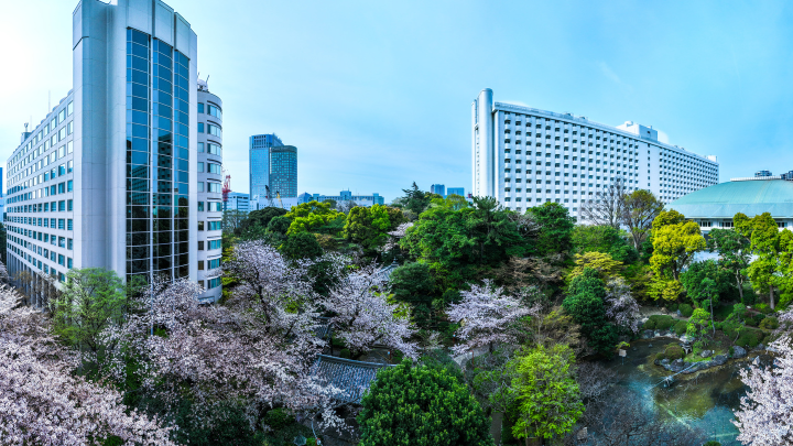 Experience - The Prince Sakura Tower Tokyo, Autograph Collection ...