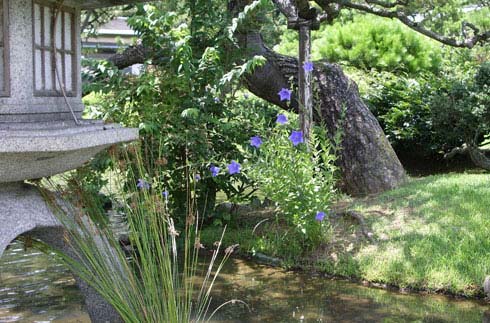 Sanyo-so (Ryokan) - Official website