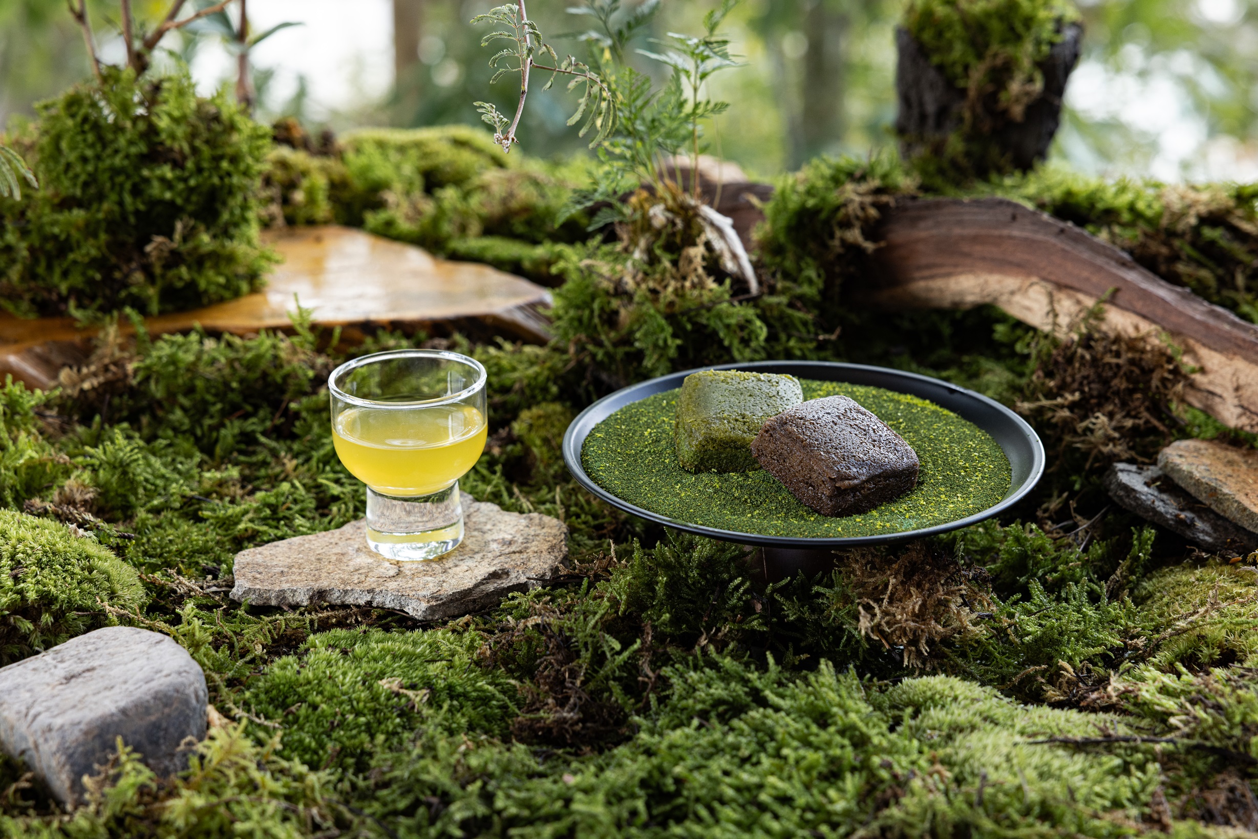 【May 26 – August 31】 Collaboration with Tsujiri 2025 - Seiryu Kiyomizu