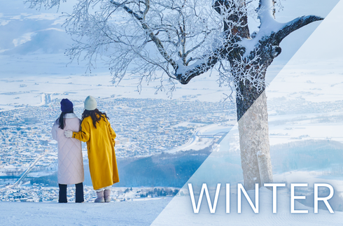 Perfect Ways to Enjoy Winter at the Shin Furano Prince Hotel - Shin ...